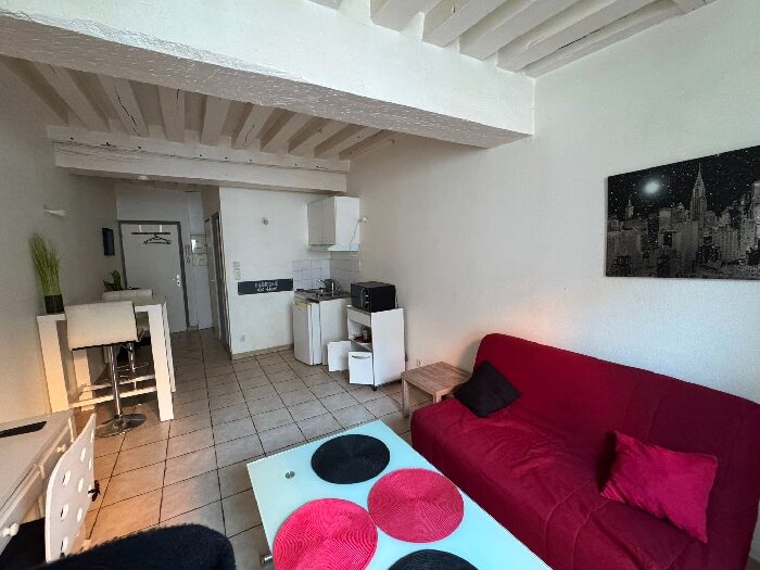 Appartement à louer - Orléans - 1 pièce