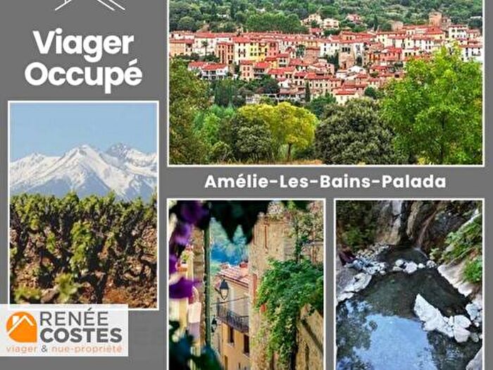 Appartement à vendre - Amélie-les-Bains-Palalda - 1 pièce - 1 chambre