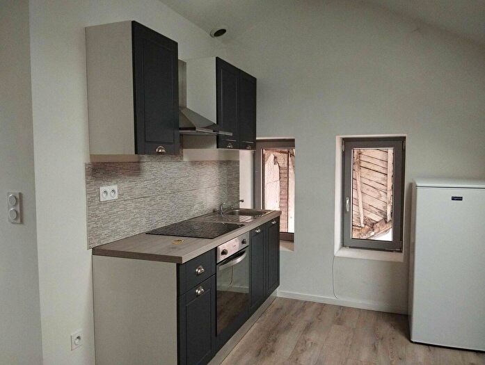 Saint-Chamond : Appartement 1 pièce à louer