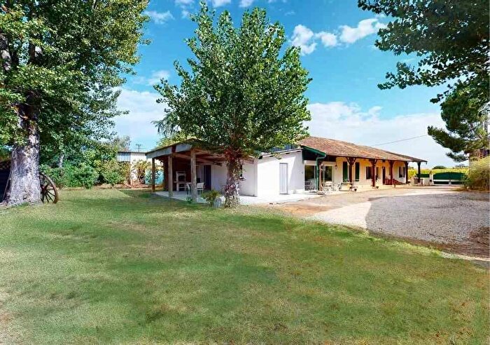 Nègrepelisse : Appartement 1 pièce à louer