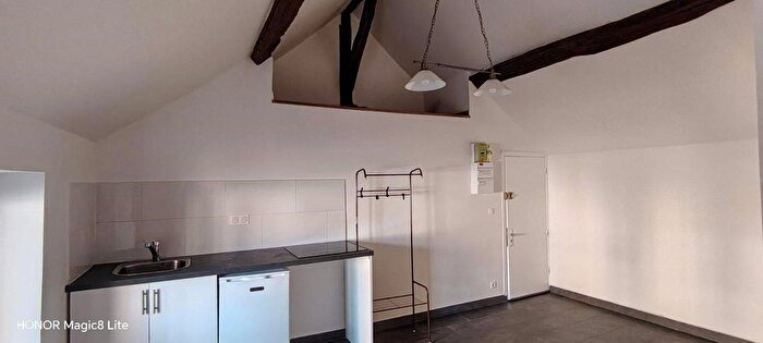 Appartement à louer - La Fontaine-Parc des Sceaux-Croix de Berny-Centre Ville, Antony - 3 pièces - 1 chambre