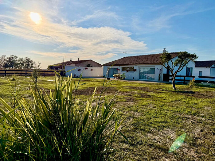 Arles, Saliers, Albaron : Maison 7 pièces à vendre
