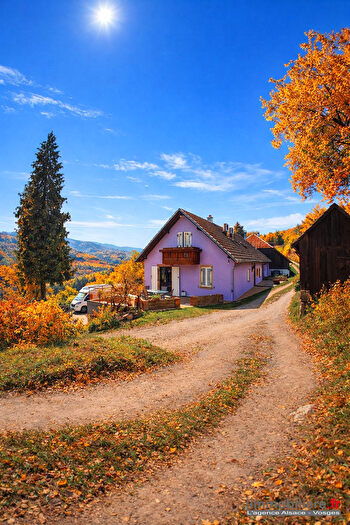 Maison à vendre - Sainte-Croix-aux-Mines - 6 pièces - 3 chambres