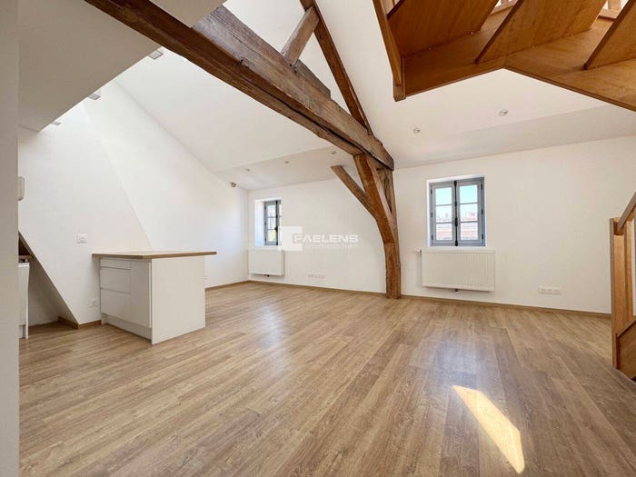 Appartement 4 pièces à louer à Lille