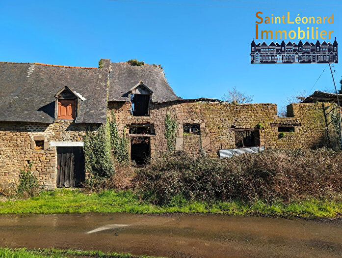 Maison à vendre - La Chapelle-Janson - 1 pièce