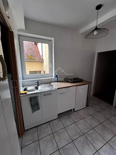 Appartement à louer - Altenstadt, Wissembourg - 1 pièce