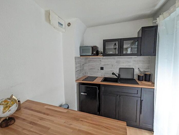 Appartement 1 pièce à louer à Clermont-Ferrand, Jaude, Fontgiève Saint-Alyre