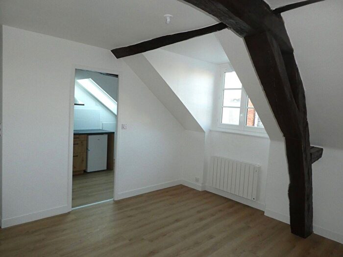 Appartement 2 pièces à louer - Bourgogne-Châtelet, Orléans