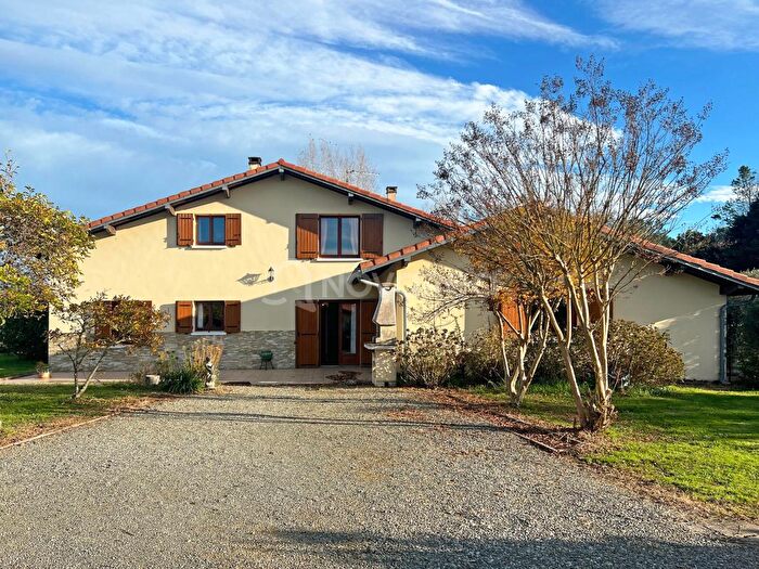 Maison à vendre - Saint-Étienne-dOrthe - 8 pièces - 5 chambres