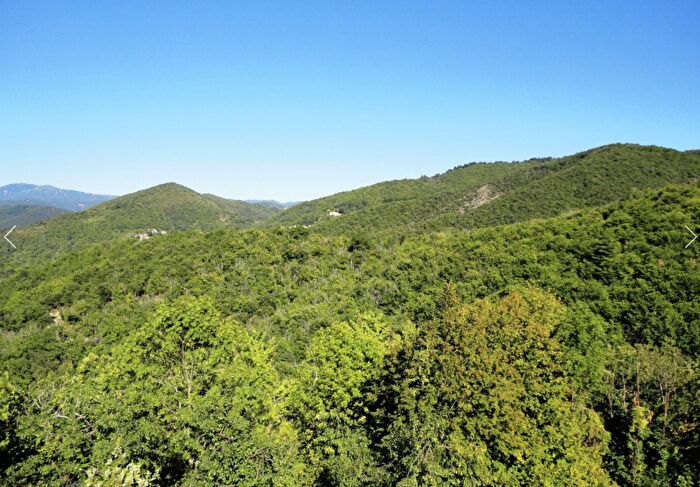 Maison à vendre - Le Vigan - 5 pièces - 4 chambres