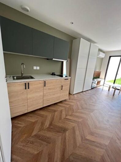 Villeurbanne, Léon Blum, Bon Coin : Appartement 1 pièce à louer