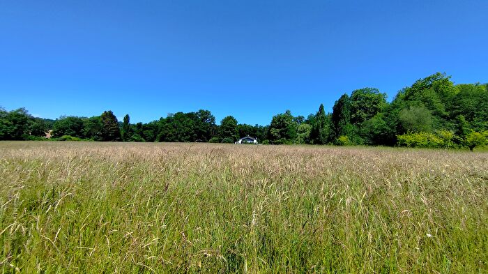 Maison à vendre - Peyrehorade - 6 pièces - 5 chambres