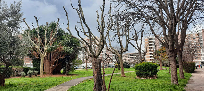 Appartement à vendre - Marseille e , Sainte-Marguerite - 4 pièces - 2 chambres