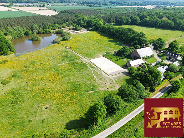 Maison à vendre - Riaillé - 16 pièces - 11 chambres