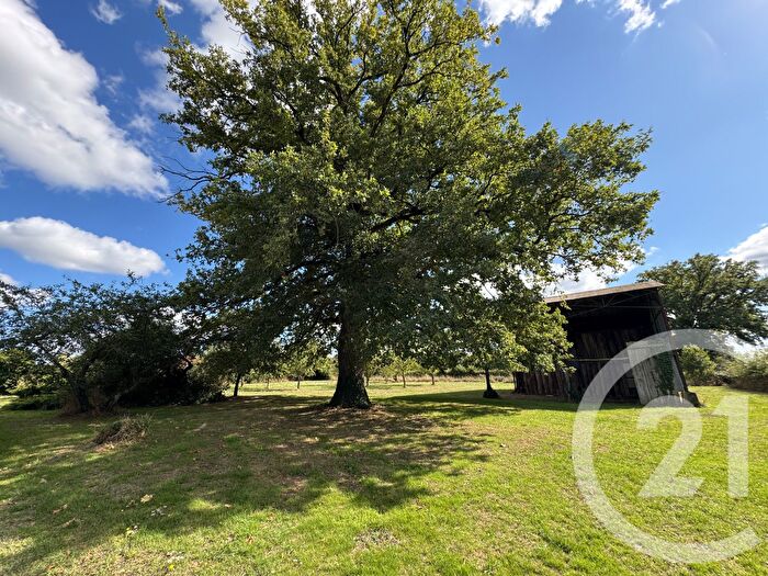 Maison à vendre - Neuvy-Saint-Sépulchre - 3 pièces - 2 chambres