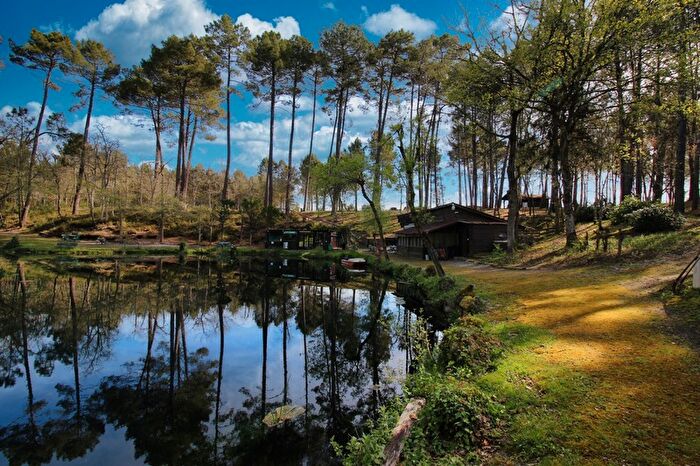 Maison à vendre - Villandraut - 2 pièces - 1 chambre