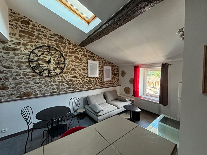 Vienne, Estressin - Appartement 1 pièce à louer
