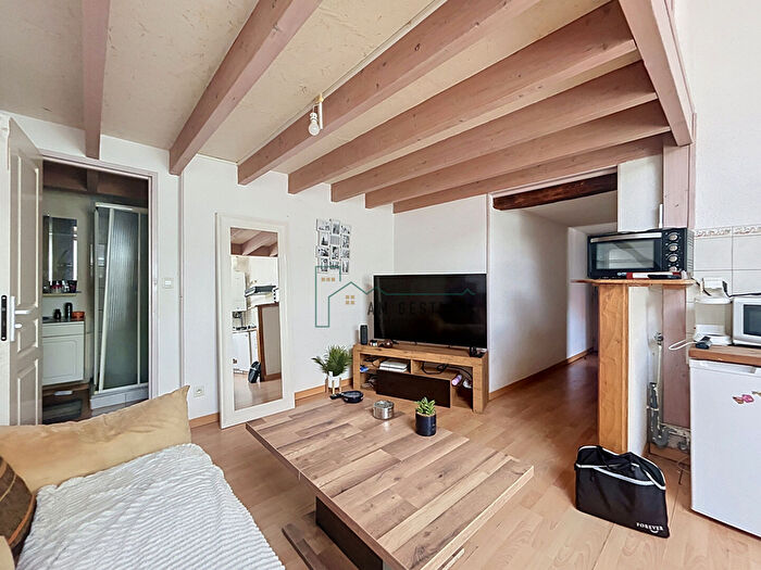 Aixe-sur-Vienne - Appartement 3 pièces à louer