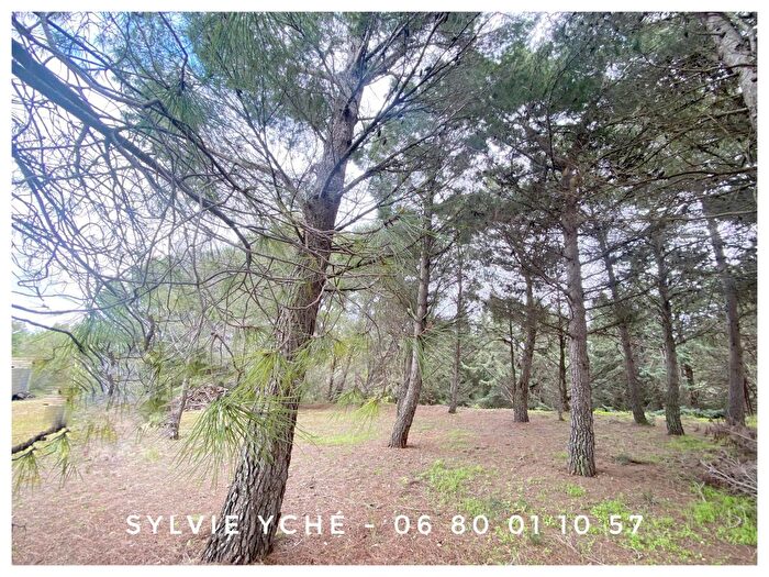 Maison à vendre - Narbonne, Saint-Jean, Saint-Pierre - 4 pièces - 3 chambres