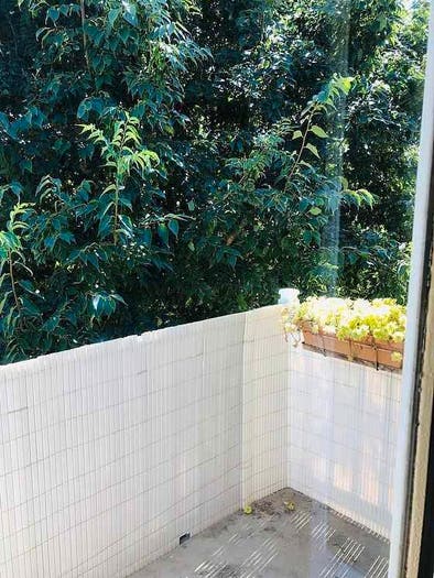 Pompignane, Montpellier : Appartement 1 pièce à louer