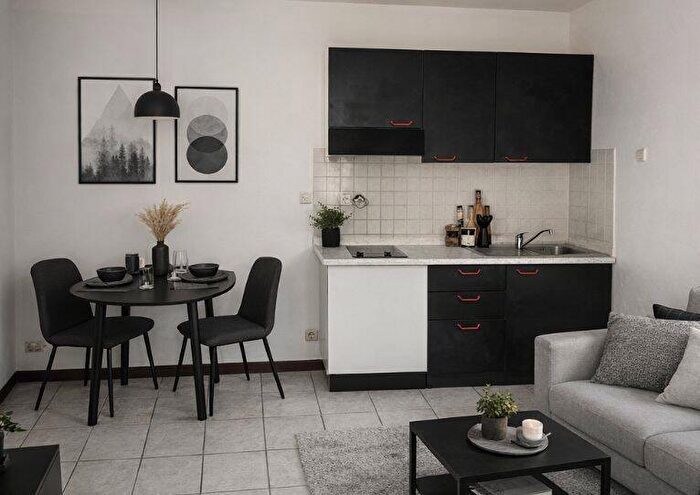 Henri Sellier-Aujonnière, Vierzon : Appartement 1 pièce à louer