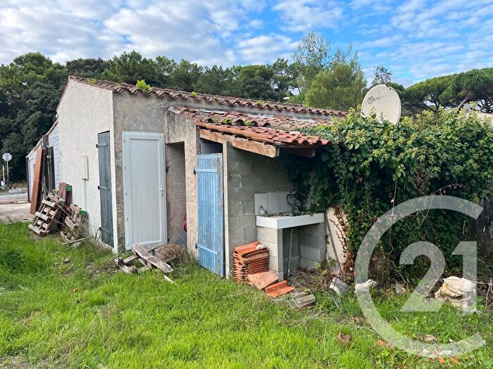 Maison à vendre - Saint-Georges-dOléron, Domino, Chaucre, Epinouses, Grand Cluseau, Coquettes - 1 pièce