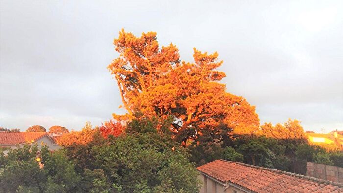 Appartement à louer - Lîle-dOlonne - 2 pièces - 1 chambre