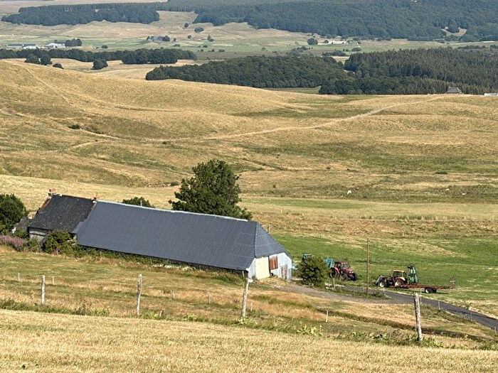 Maison 5 pièces à vendre à Picherande