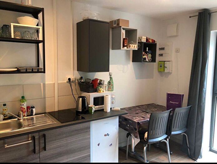Bron Centre-Le Rafour - Appartement 1 pièce à louer