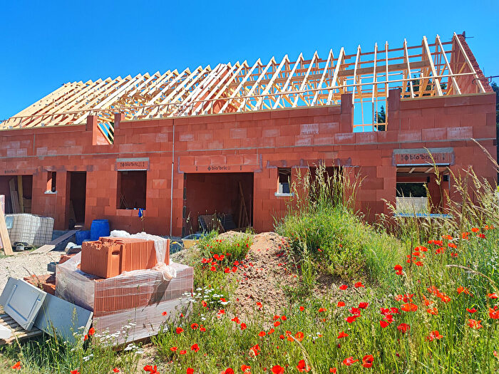 Olivet, Noras, Belle Croix - Maison 4 pièces à vendre