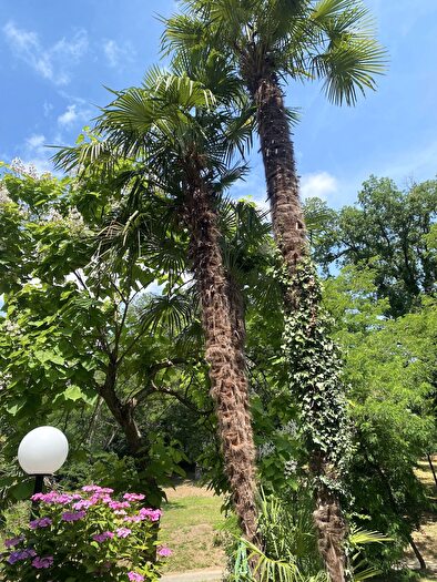 Maison à vendre - LUnion - 9 pièces - 5 chambres