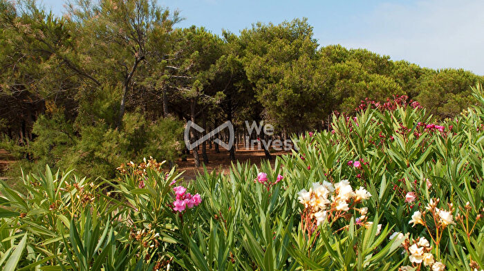 Appartement à vendre - Saint-Clément-de-Rivière - 3 pièces - 2 chambres