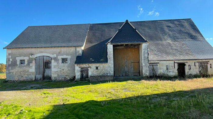 Maison à vendre - Manthelan - 3 pièces