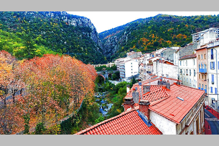 Appartement à vendre - Amélie-les-Bains-Palalda - 3 pièces - 2 chambres