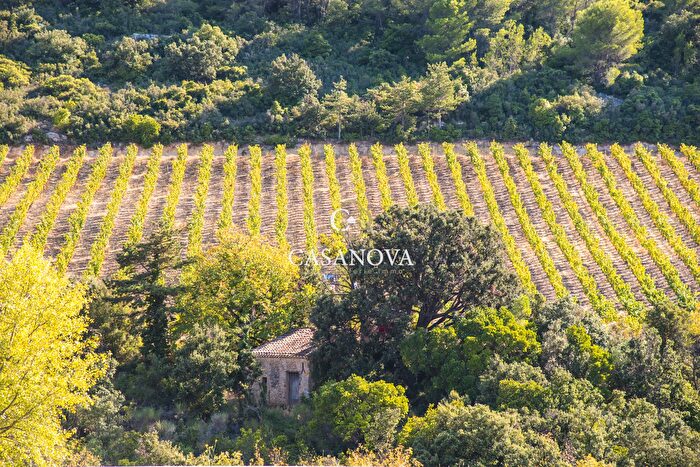 Maison à vendre - Saint-Chinian - 6 pièces