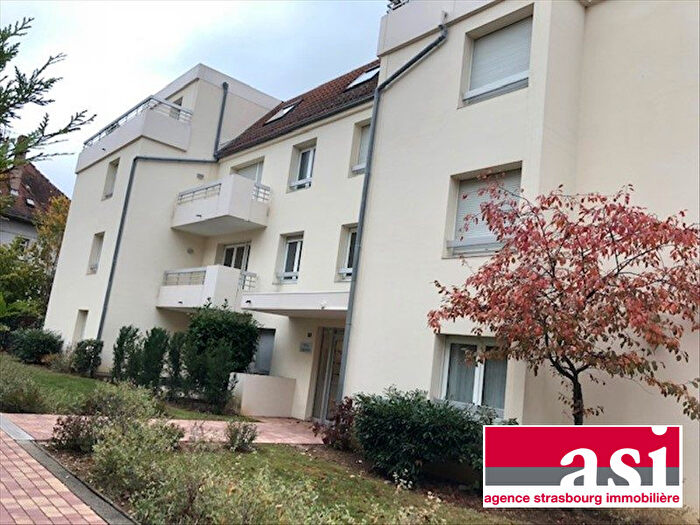 Appartement à louer - Strasbourg, Robertsau - 1 pièce