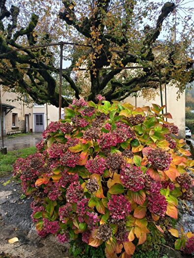 Maison à vendre - Lacombe - 4 pièces - 1 chambre