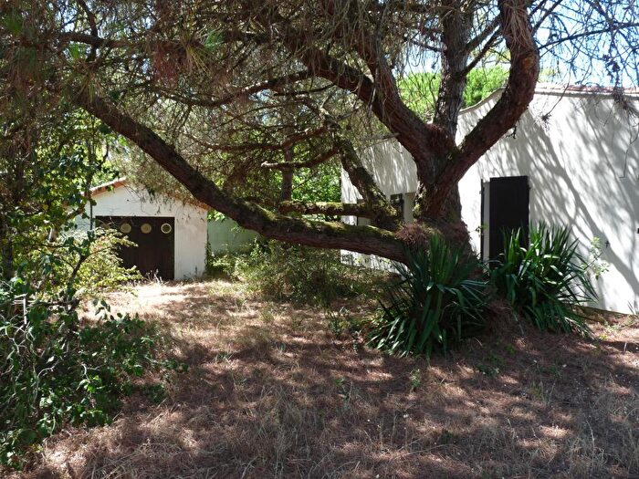 Saint-Georges-d'Oléron, Domino, Chaucre, Epinouses, Grand Cluseau, Coquettes : Maison 4 pièces à vendre
