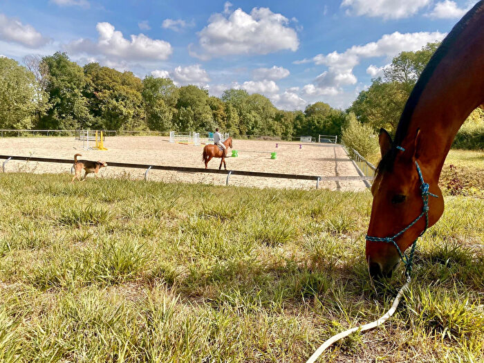 Maison à vendre - Pontoise, Les Larris, Maradas - 14 pièces - 2 chambres