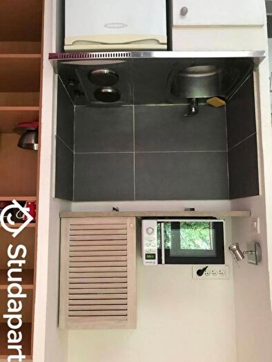 Appartement à louer - Noyer Doré-Pajeaud-Fontaine Michalon, Antony - 1 pièce