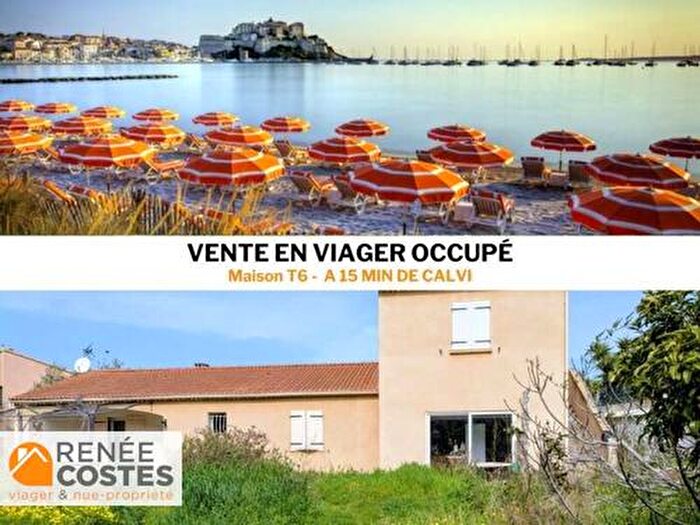 Maison à vendre - Calenzana - 6 pièces - 3 chambres