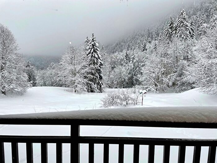 Appartement à vendre - Bellevaux - 1 pièce