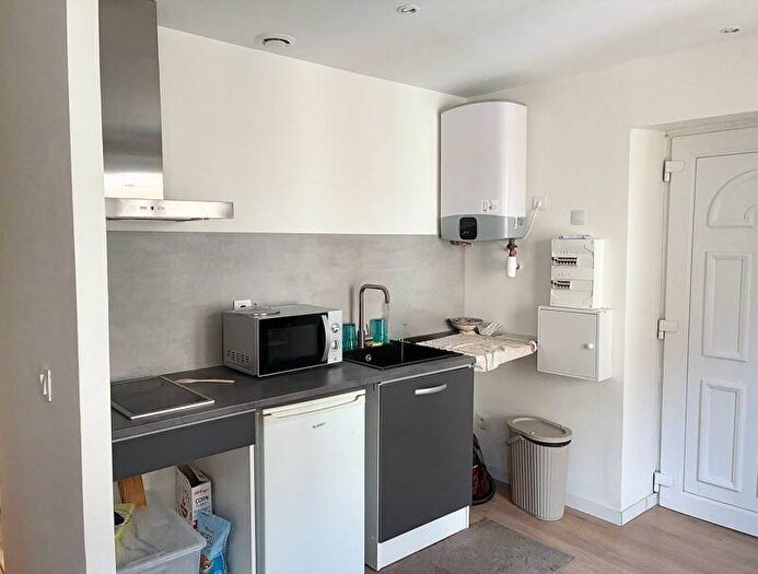 Appartement à louer - Hyper Centre-Vieille Ville, Saint-Étienne - 1 pièce - 1 chambre