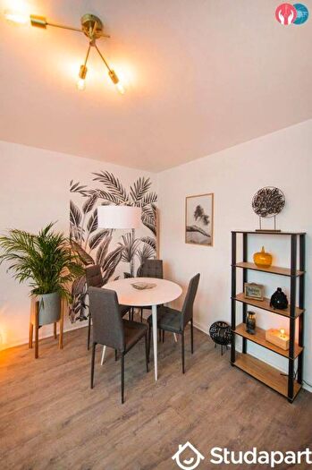 Appartement 1 pièce à Barriere Saint Marc, Fleury-les-Aubrais, à louer