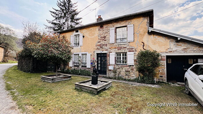 Maison à vendre - Fontenoy-le-Château, Le Magny - 7 pièces - 4 chambres