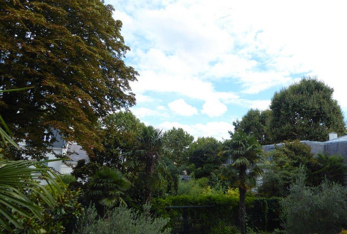 Appartement 1 pièce à louer à Saint James-Delabordère, Neuilly-sur-Seine