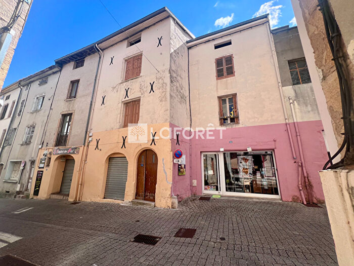 Maison à vendre - Saint-Amour - 17 pièces