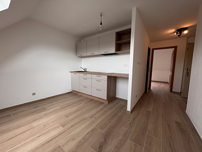 Appartement 1 pièce à louer à Saint-Louis