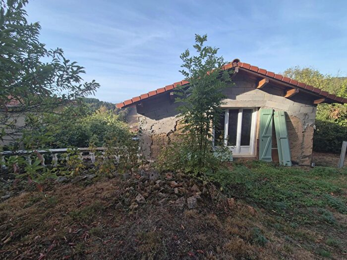 Panissières : Maison à vendre
