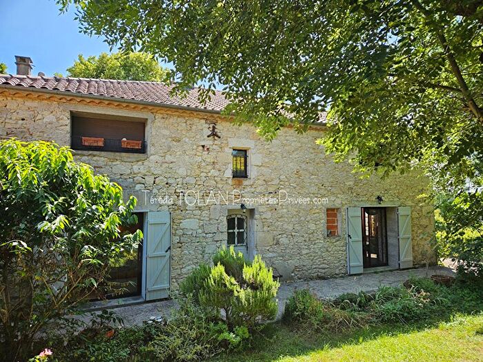 Maison à vendre - Laroque-Timbaut - 10 pièces - 4 chambres